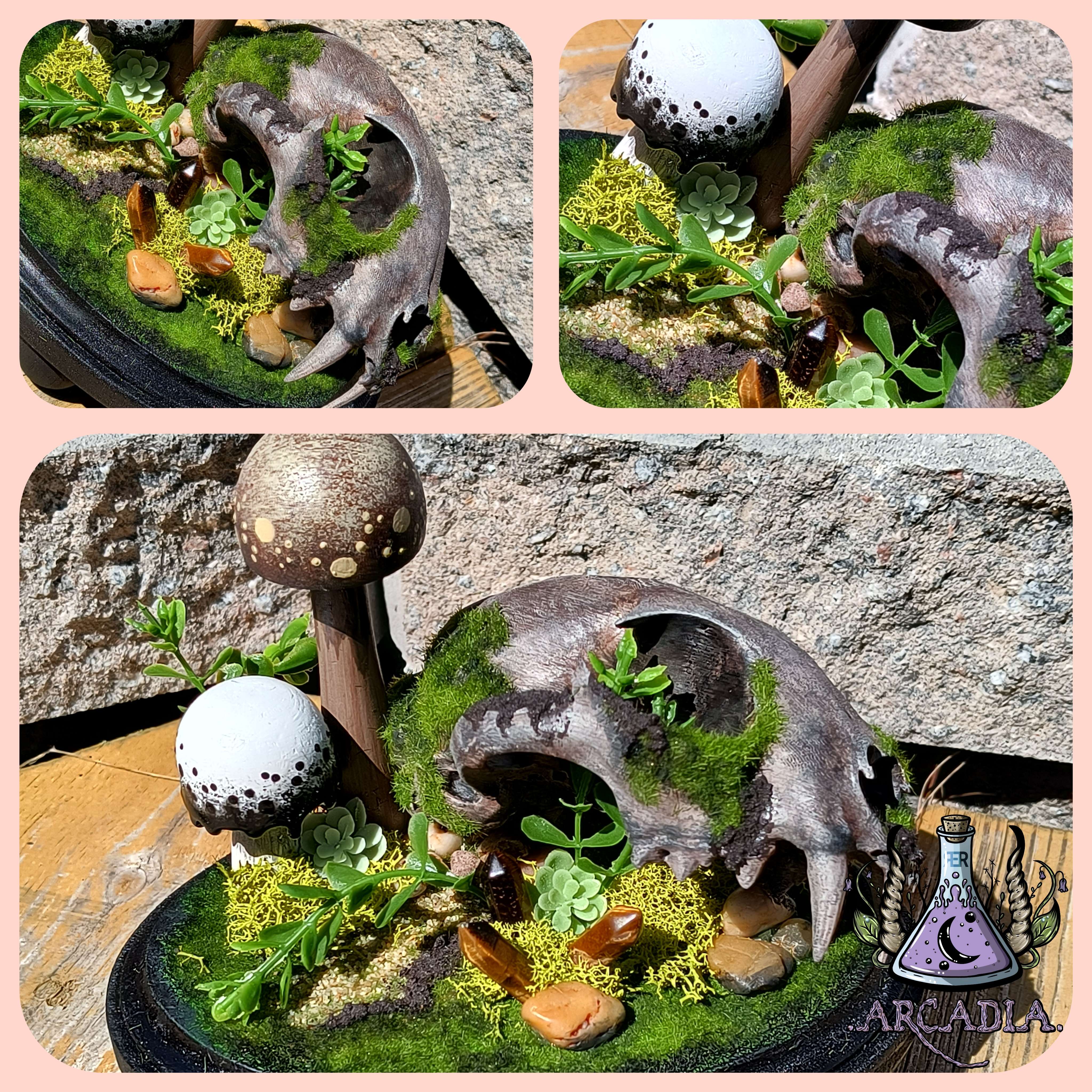 Memento Mori Dioramas – RazorsEdgeRaz